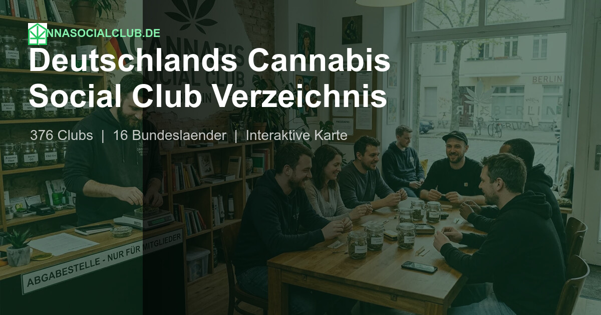 Cannabis Paranoia: Ursachen, Soforthilfe und wie man sie verhindert
